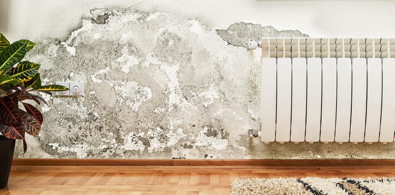 Come togliere la muffa dai muri | I migliori rimedi per eliminarla